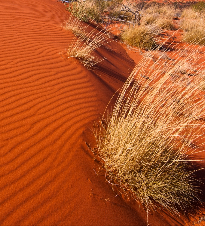 Guide | Redmond Hauser - Australian Outback Escapes
